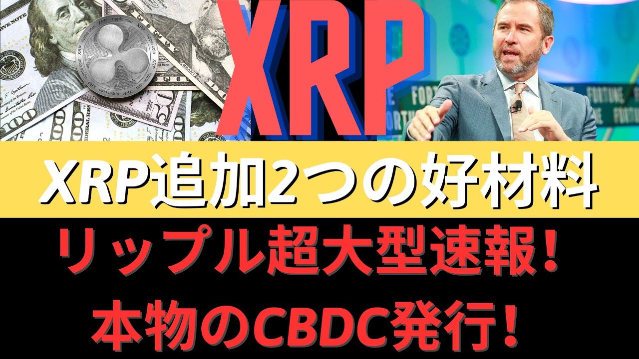 リップル超大型速報！本物のCBDC発行！ XRP保有者これは今から5日以内に起こります！XRP追加2つの好材料！非常に重要な聴力！国家政府とのプロジェクト！- BTC XRP │ 金融情報のまとめ