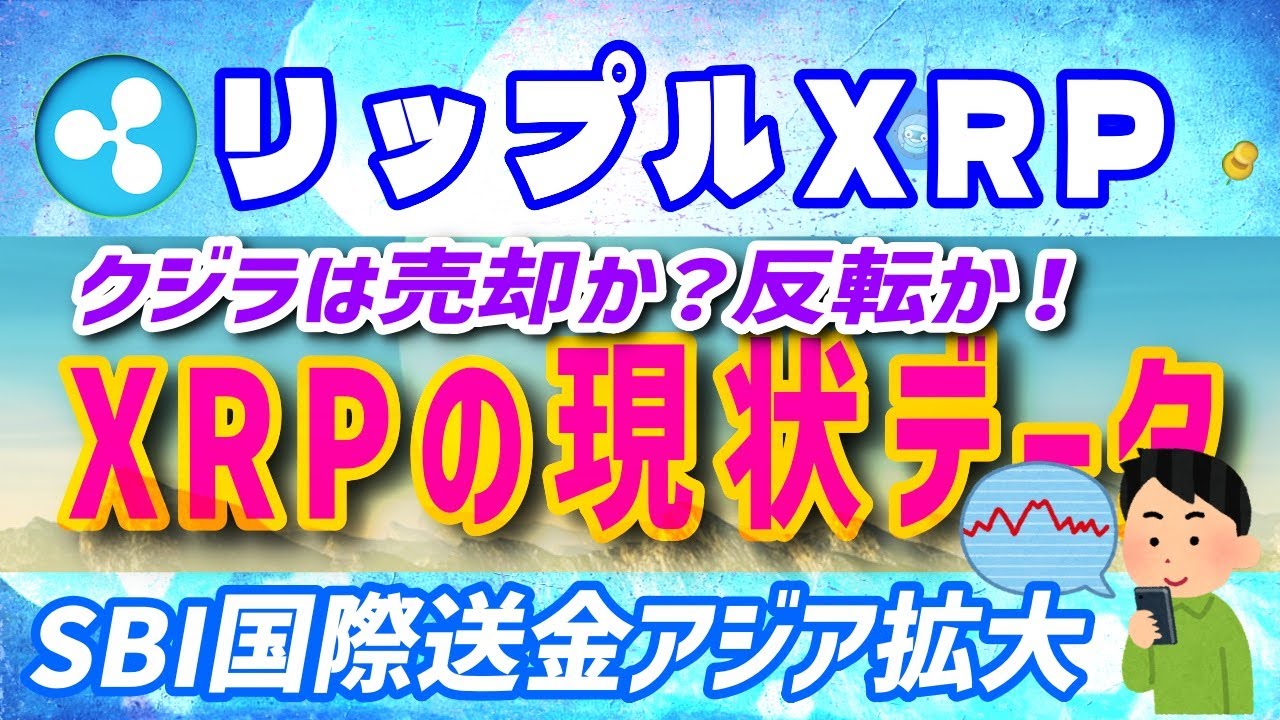 【リップル（XRP）】最新データで見るクジラ【仮想通貨】SBIはXRPをブリッジ通貨にアジアで拡大 │ 金融情報のまとめ