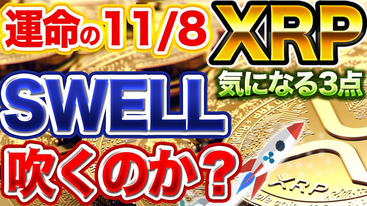 運命の11/8 XRP swellで吹くのか？気になる3点 │ 金融情報のまとめ